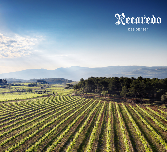 Les Caves de Pyrene - natural wine